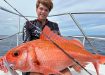 New Tokayo AK rod 2025 NEW MODEL ( FREE INTERNATIONAL SHIPPING ) – Tokayo