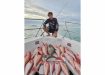 New Tokayo AK rod 2025 NEW MODEL ( FREE INTERNATIONAL SHIPPING ) – Tokayo